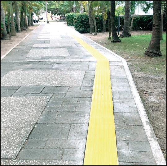 Rector instala piso podotáctil en la UV – Diario Gráfico