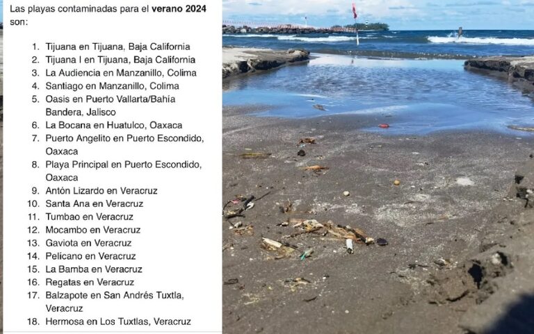 Diez de las 18 playas más contaminadas del país están en Veracruz ...
